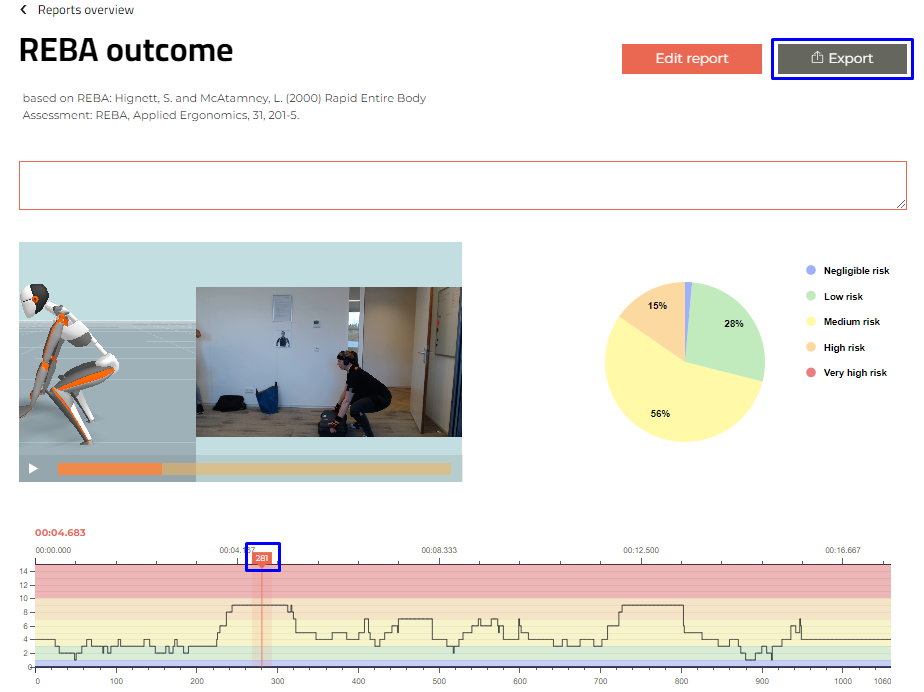 REBA Report - How to interpret the data?