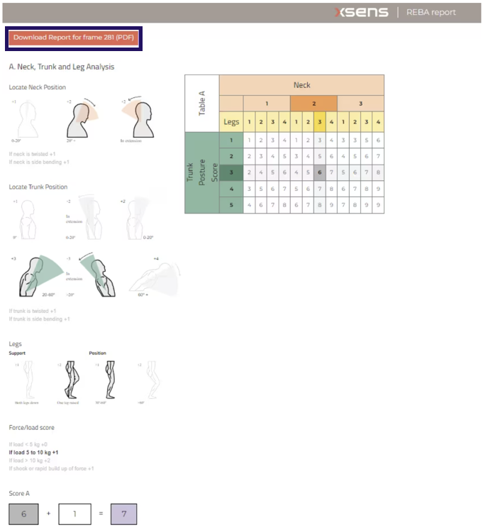 REBA Report - How to interpret the data?